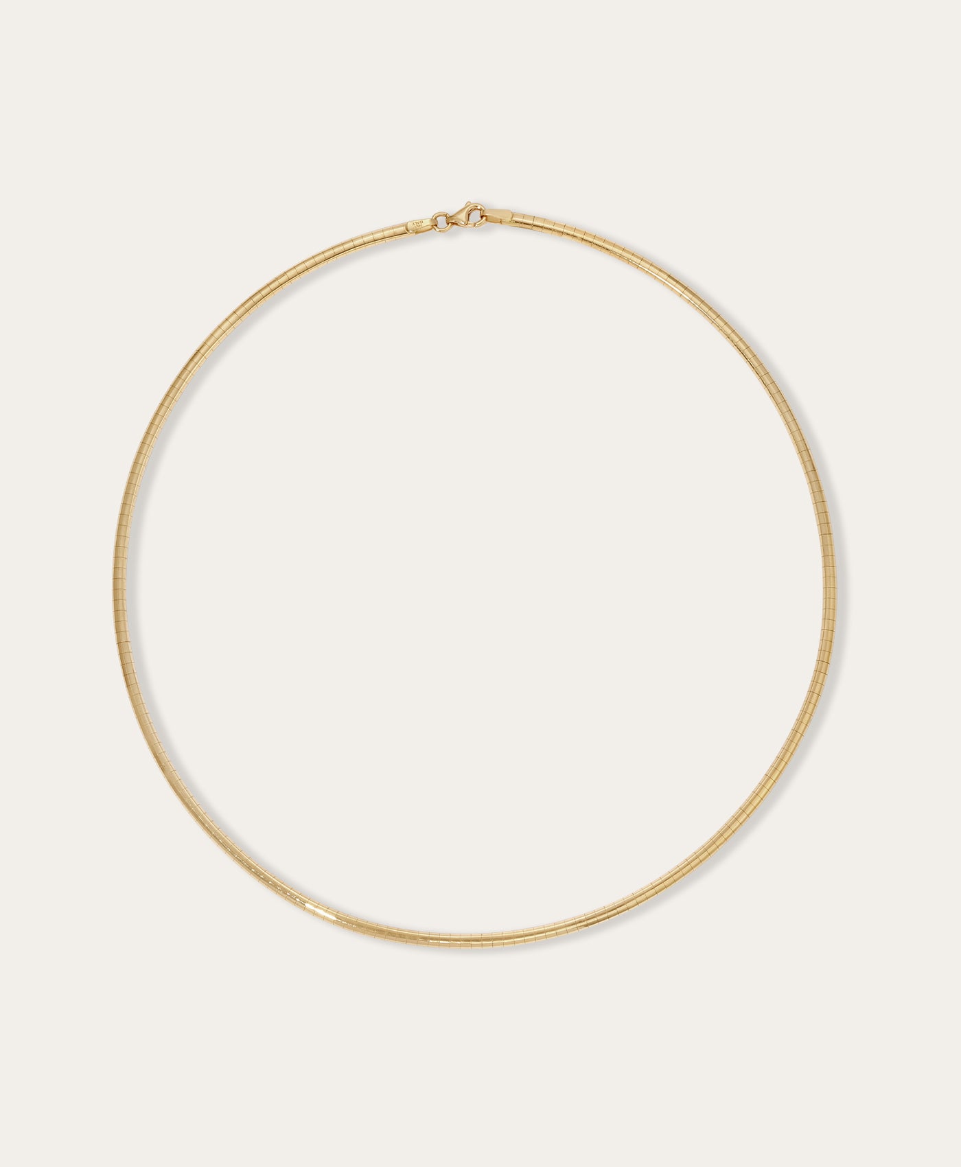 14k Gold Omega Chain Necklace | Adina Reyter
